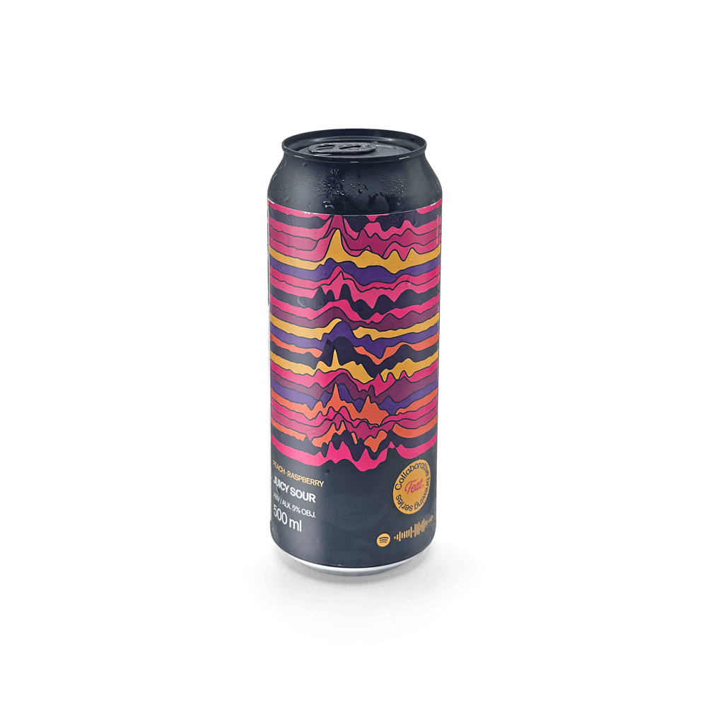 Ploč. Funky Fluid Disorder 500ml - Pivoljub